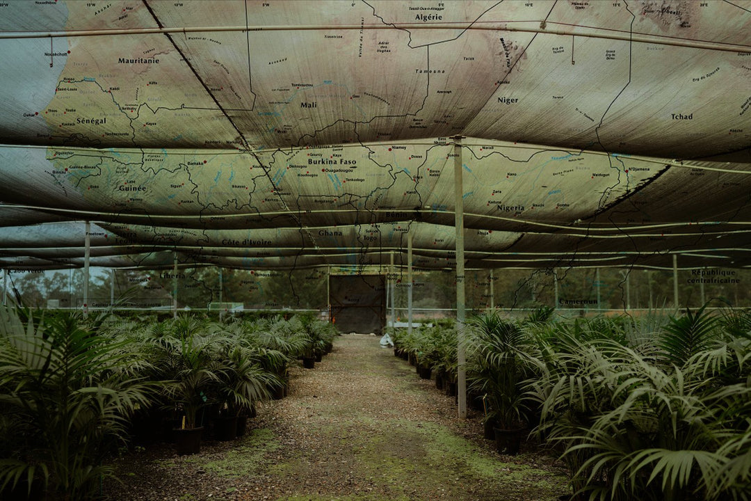 Destination Dakar – Mountain Range